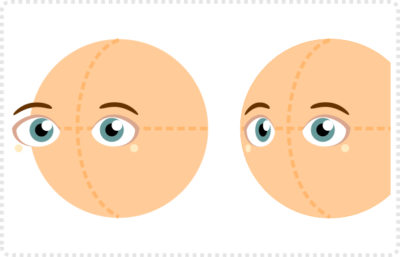 Character design - simpler rotation of a face using basic vector shapes