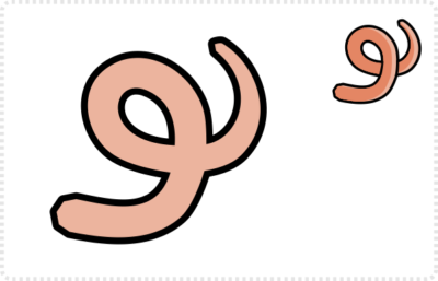 Piggy tail - making a curly tail in Affinity Designer - 2dgameartguru